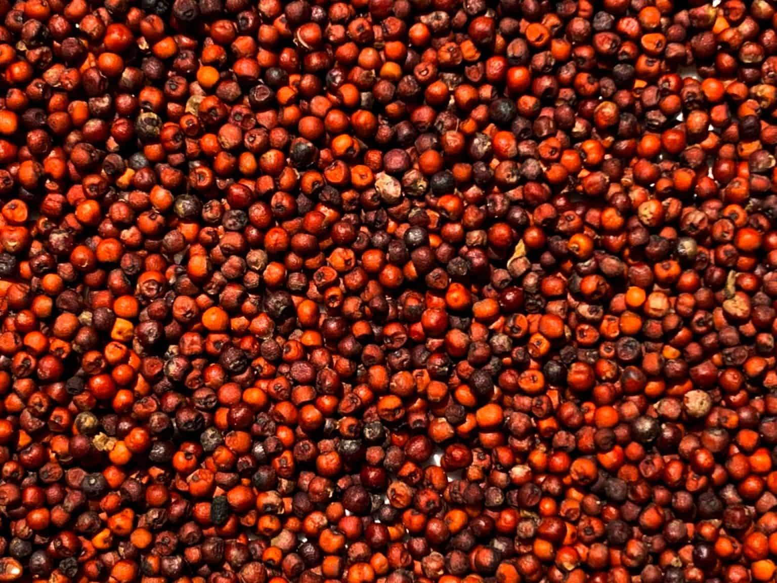 Cum se gateste meiul ️ Explicativ