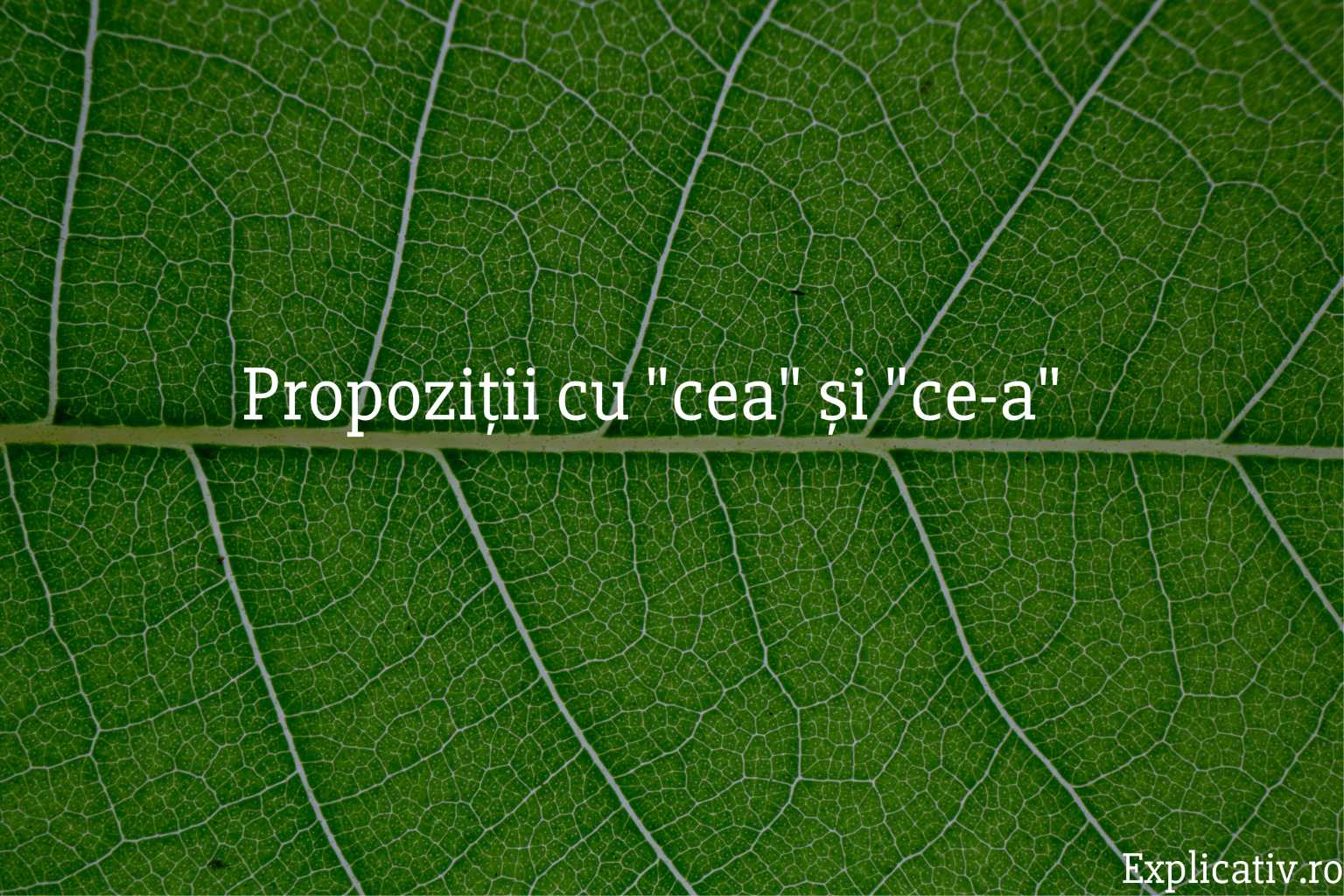 Propoziții cu "cea" și "ce-a" ️ Explicativ