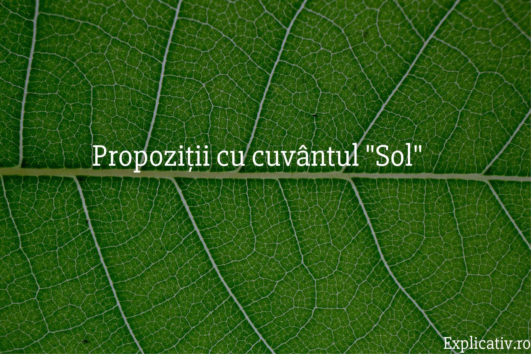 Propoziții cu cuvântul "Sol" ️ Explicativ