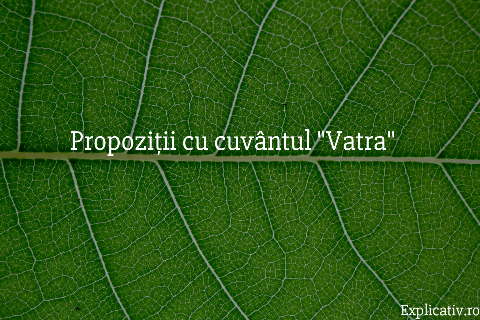 Propoziții cu cuvântul "Vatra" ️ Explicativ