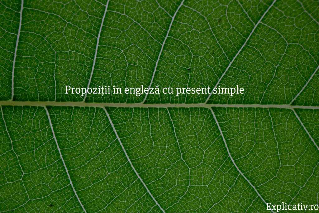 Propoziții în engleză cu present simple ️ Explicativ