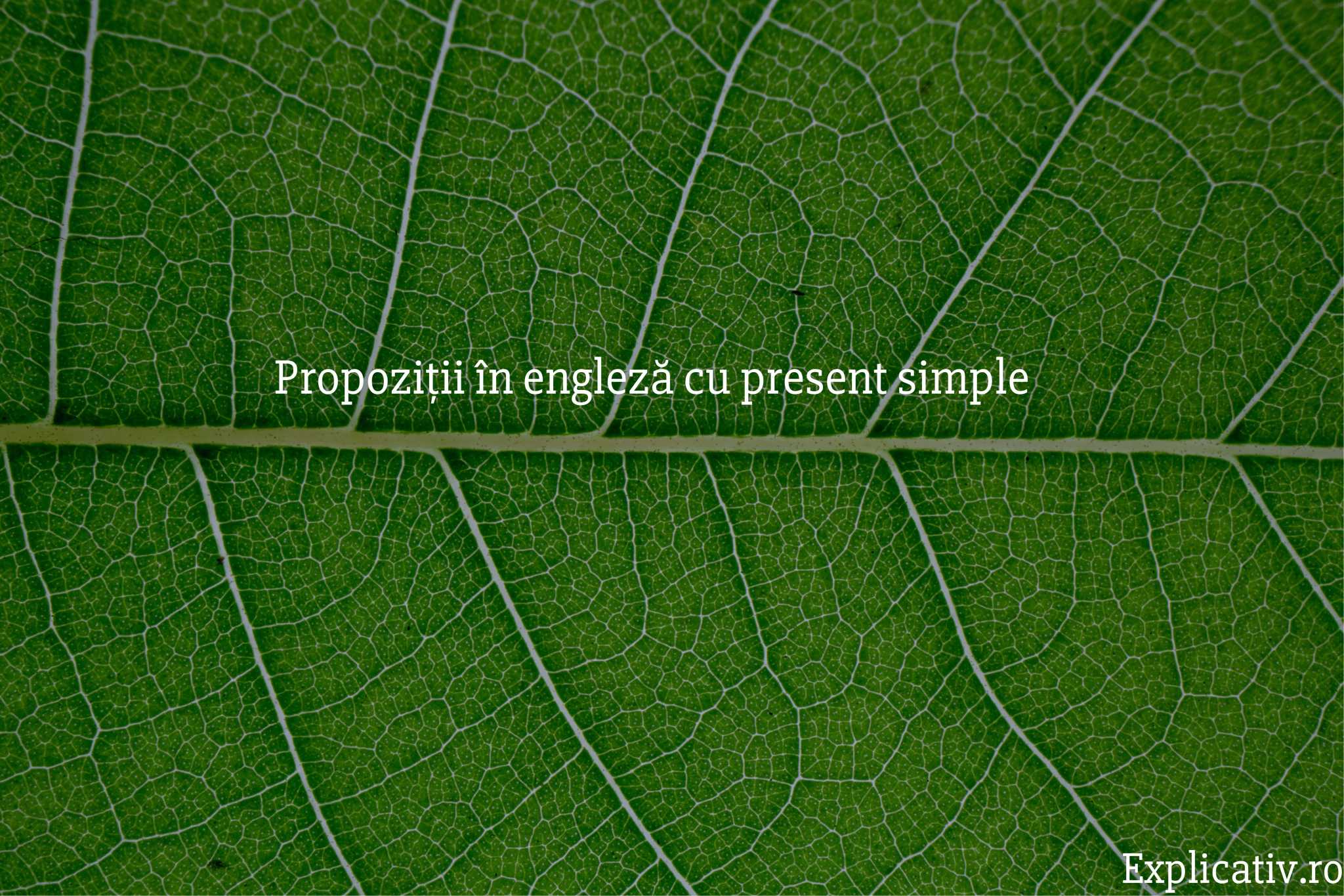 Propoziții în engleză cu present simple ️ Explicativ