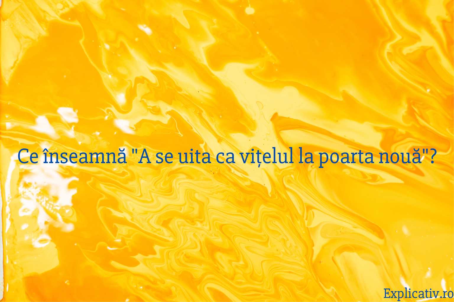 Ce înseamnă "A se uita ca vițelul la poarta nouă"? ️ Explicativ