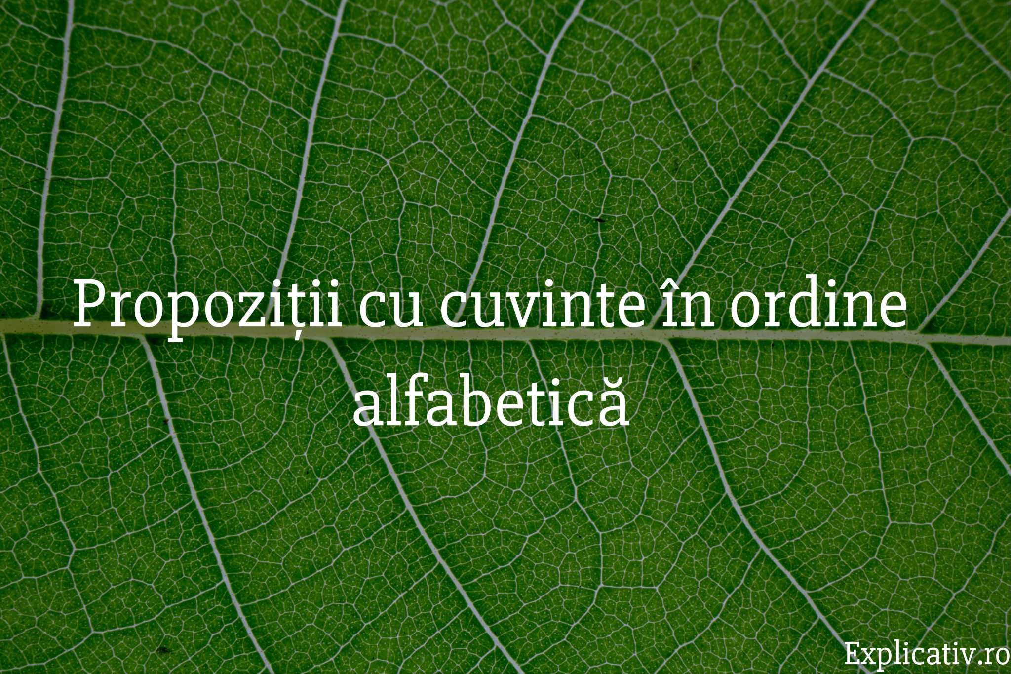 Propoziții cu cuvinte în ordine alfabetică ️ Explicativ