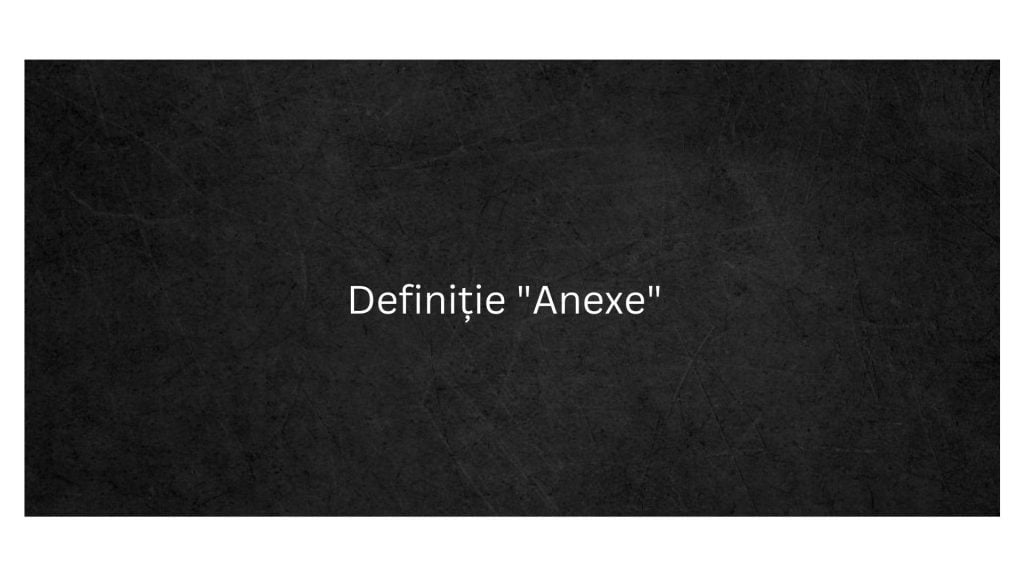 Definiție "Anexe" ️ Explicativ