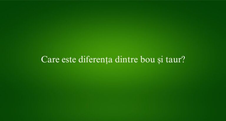 Care este diferența dintre bou și taur? ️ Explicativ