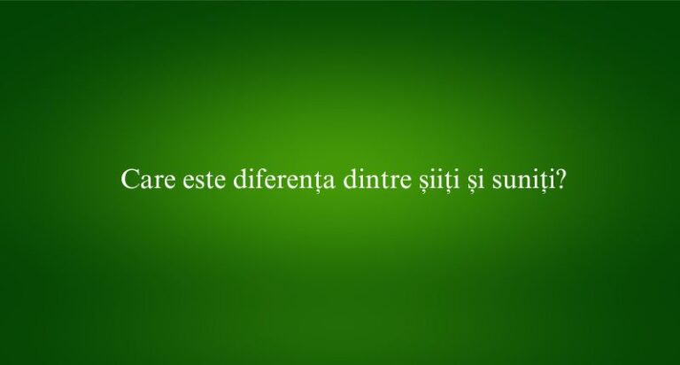 Care este diferența dintre șiiți și suniți? ️ Explicativ