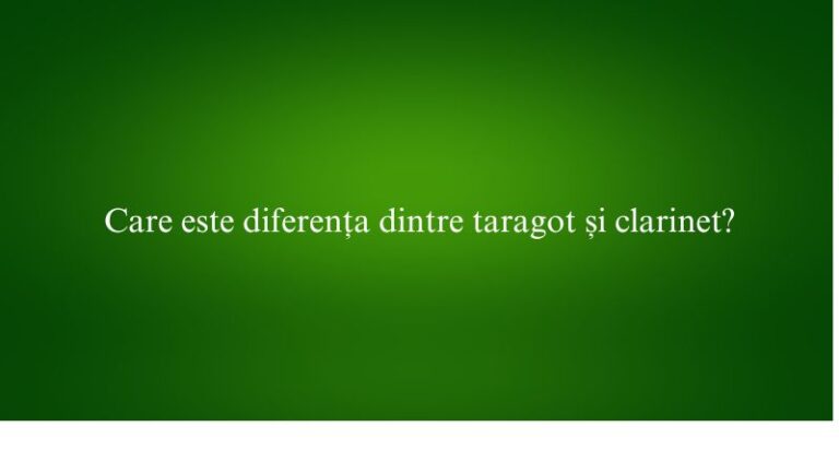 Care este diferența dintre taragot și clarinet? ️ Explicativ