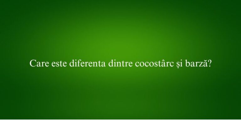 Care este diferenta dintre cocostârc și barză? ️ Explicativ