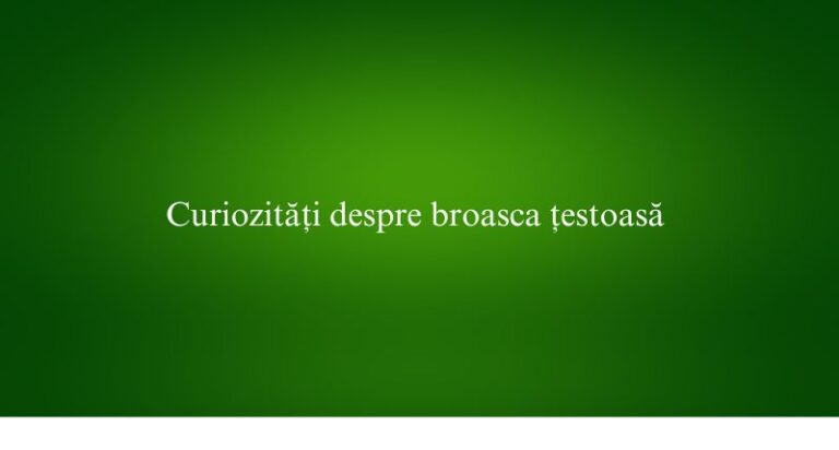Curiozități despre broasca țestoasă ️ Explicativ