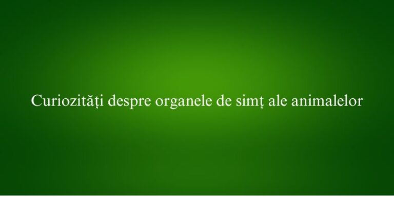 Curiozități despre organele de simț ale animalelor ️ Explicativ