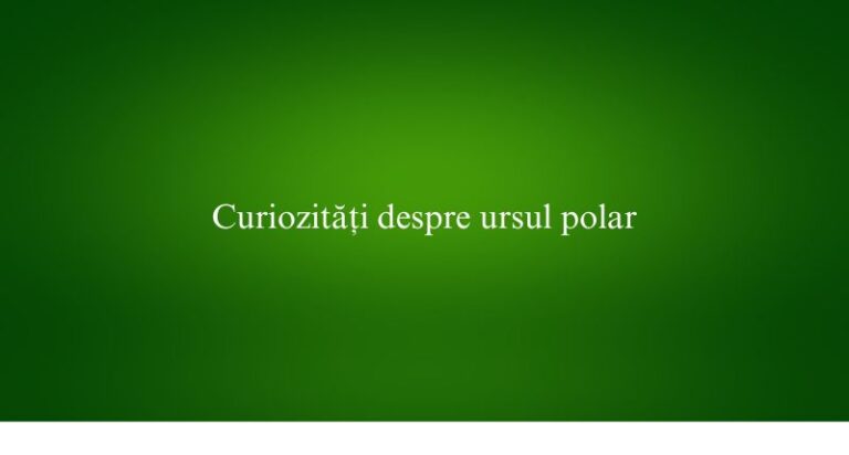 Curiozități despre ursul polar ️ Explicativ