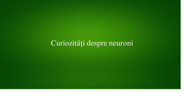 Curiozități despre neuroni ️ Explicativ