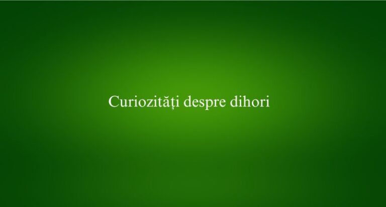 Curiozități despre dihori ️ Explicativ
