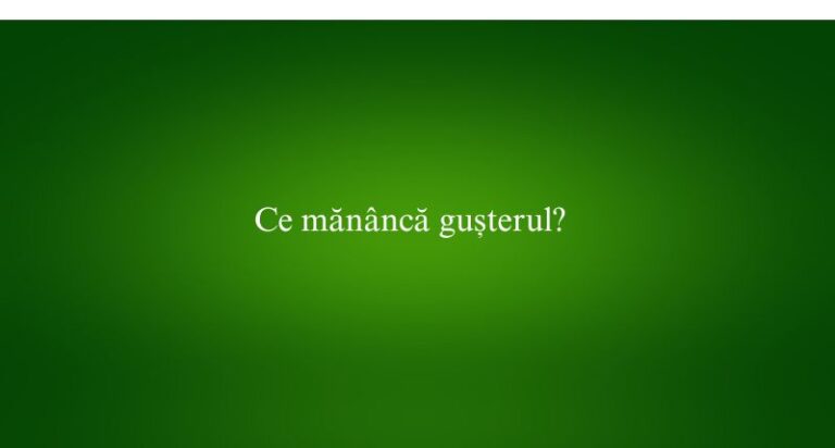 Ce mănâncă gușterul? ️ Explicativ