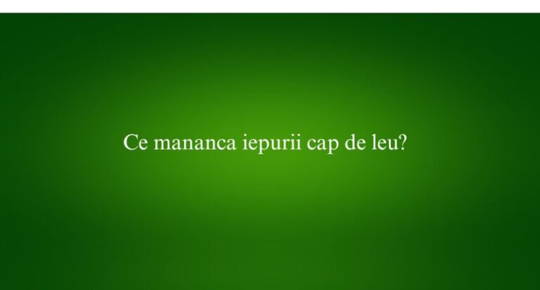 Ce mananca iepurii cap de leu? ️ Explicativ