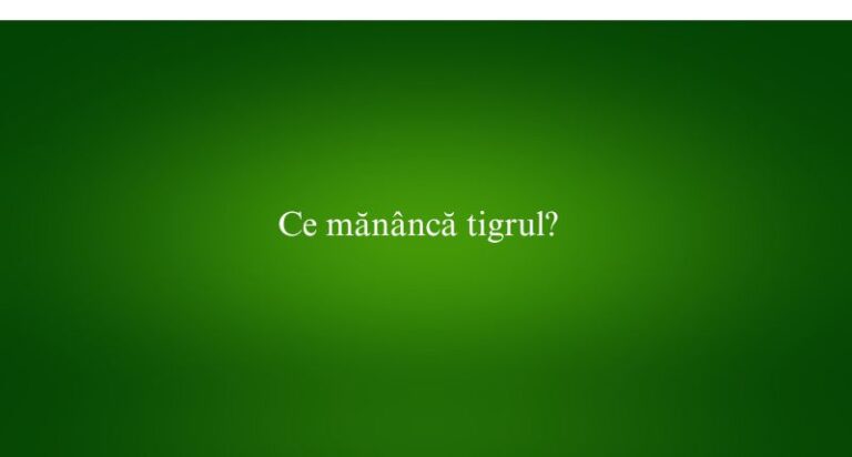 Ce mănâncă tigrul? ️ Explicativ