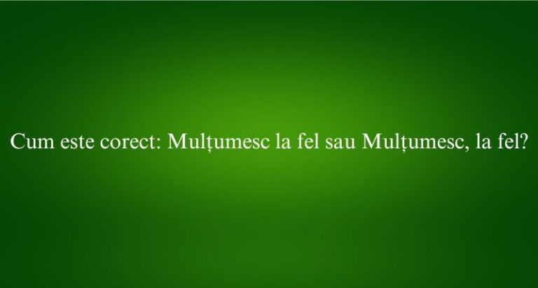 Cum este corect: Mulțumesc la fel sau Mulțumesc, la fel? ️ Explicativ
