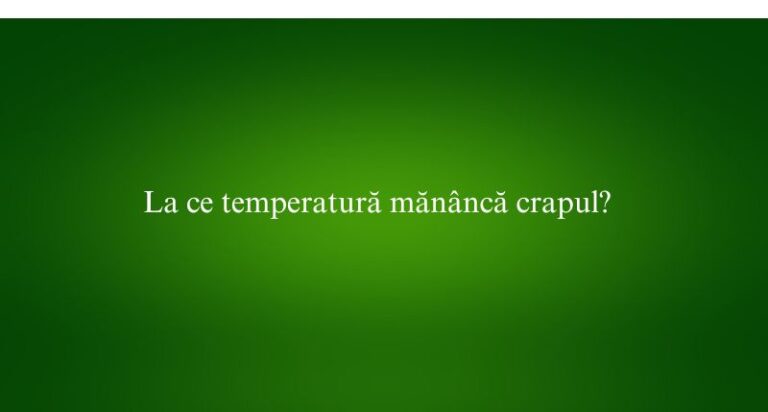 La ce temperatură mănâncă crapul? ️ Explicativ