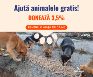 Când răsare soarele? ️ Explicativ